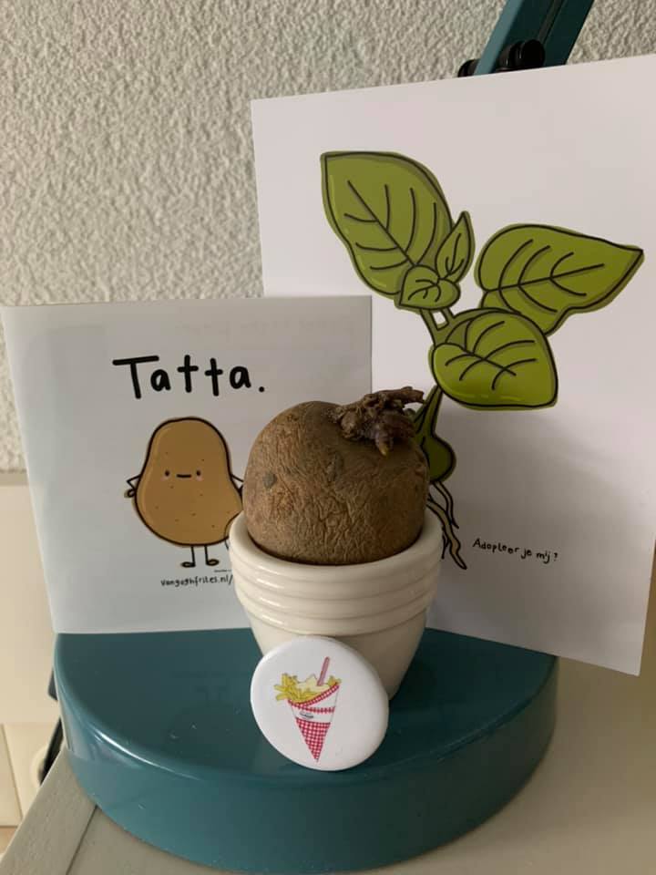 Tatta. is binnen! vangoghfrites.nl